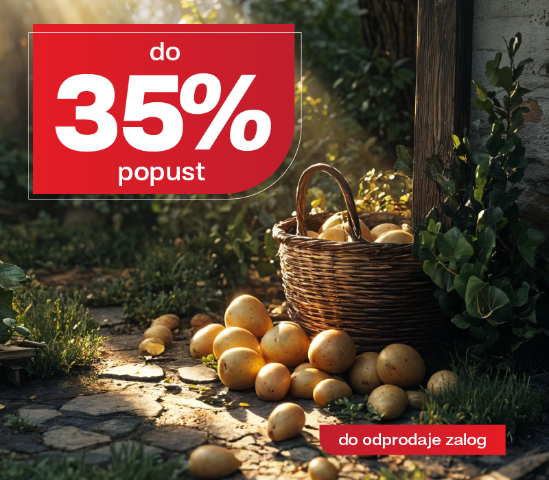 Semenski krompir 2025 | Spletna prodaja Kalia